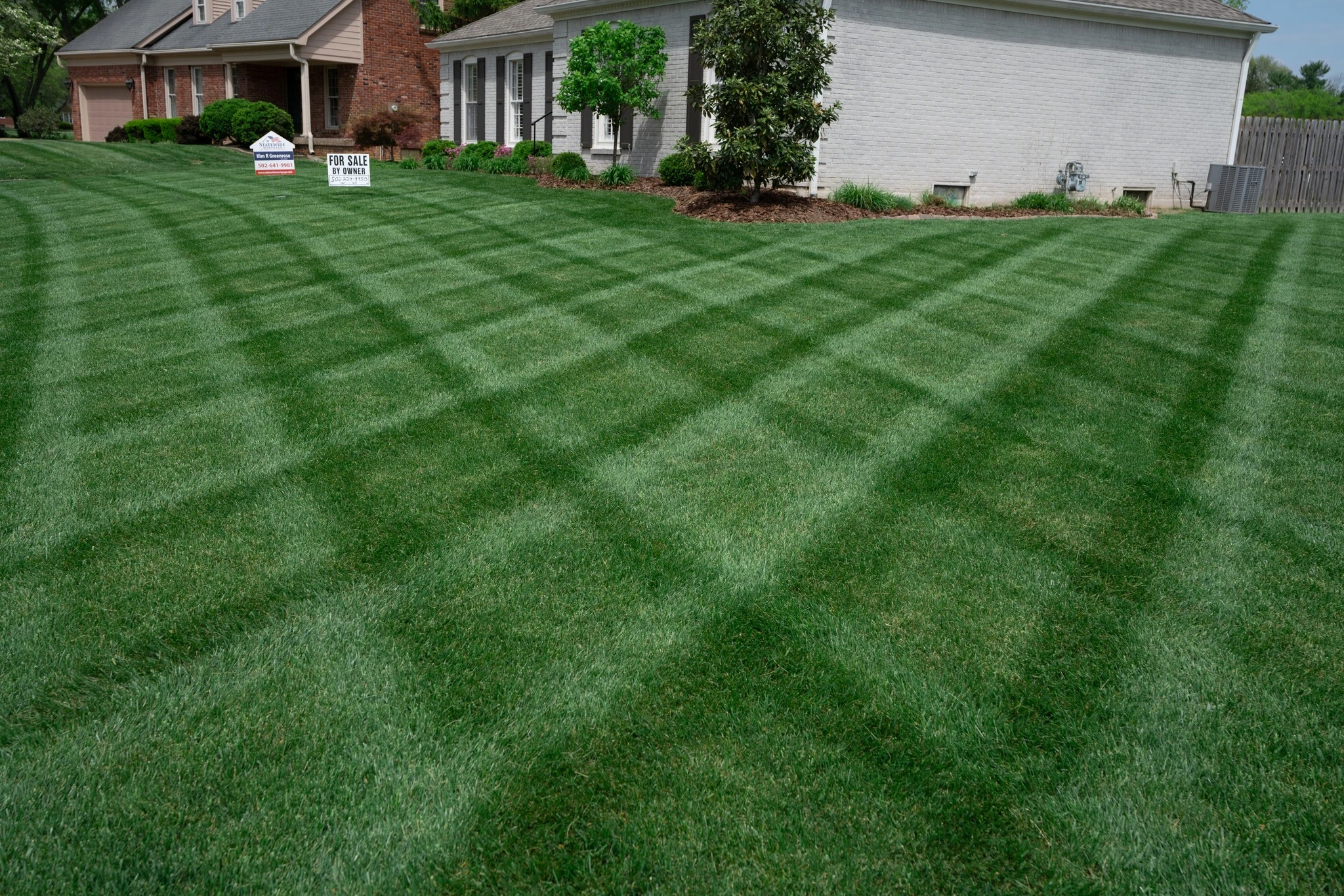Year-Round Mowing Tips - Fransen Group Kentucky